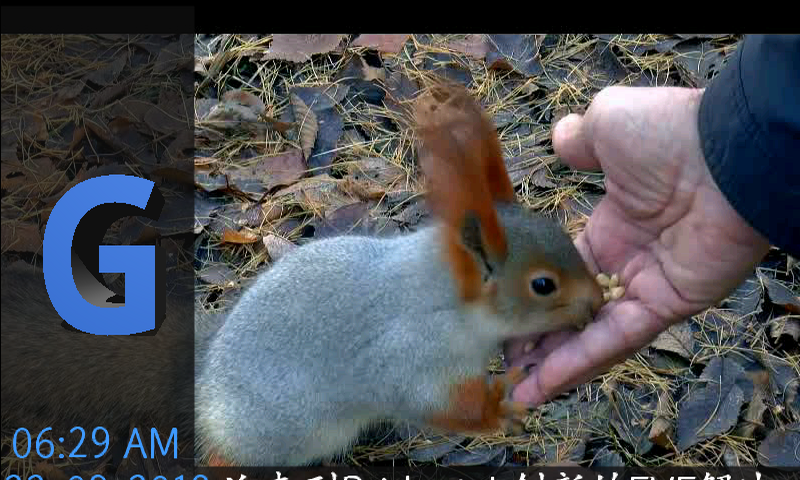 Bridgetek Open Source